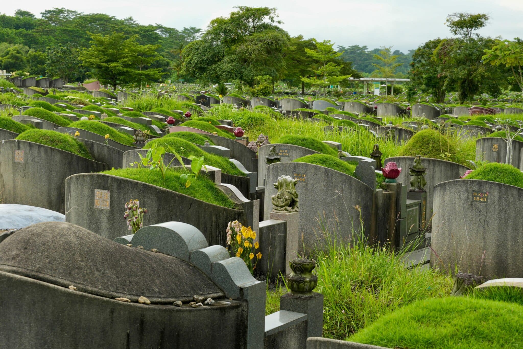 Understanding Exhumation In Singapore: A Guide For Families